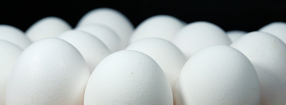 'Egg-Based Electronics' Offer Surprisingly Good Electrical Performance ...